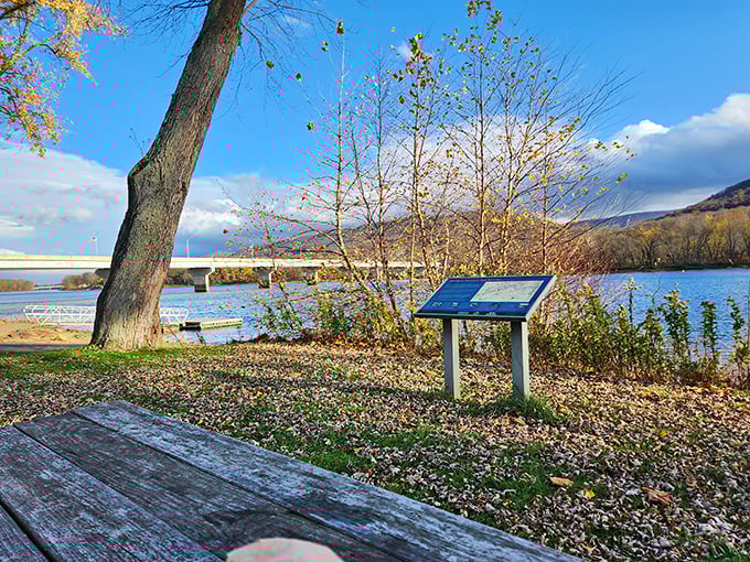 Autumn leaves carpet the ground like nature's confetti, while an interpretive sign invites you to learn the river's secrets.