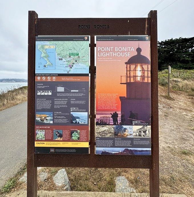 Educational displays that prove learning is more fun when you're standing on a cliff.