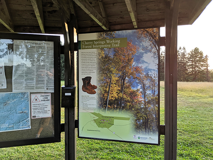 Nature's classroom doesn't require PowerPoint &ndash; just informative trail guides that help you appreciate the forest beyond the trees.
