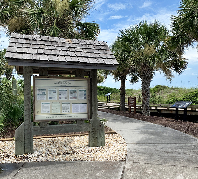 Knowledge is power, especially when planning your park adventure. This rustic information station offers wisdom beneath palm sentinels.
