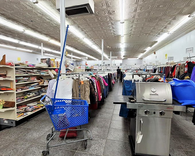 Blue shopping carts navigate the terrain of possibility. That grill in the corner? Someone's summer barbecue hero just waiting to be discovered.