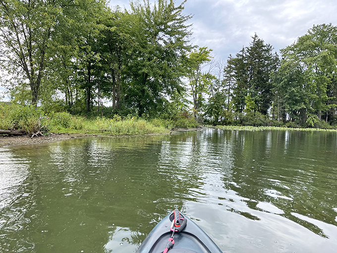 Kayaking Pymatuning's quiet coves feels like gliding through a watercolor painting. The fish below are judging your paddling technique.