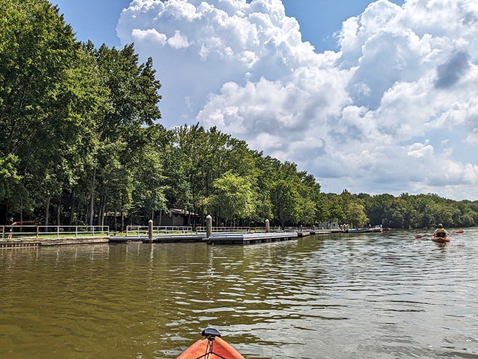 Kayaking Lums Pond&mdash;where office stress dissolves faster than an aspirin and cell phones dare not ring.