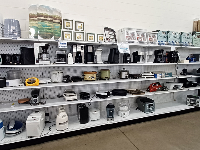Small appliance adoption center: coffee makers, toasters, and waffle irons looking for their forever homes.