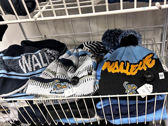 Winter hats with more personality than most sitcom characters &ndash; and probably warmer reception too.