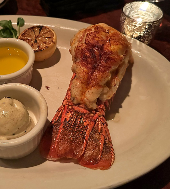 Lobster tail that makes you temporarily forget your table manners. Worth every awkward bib moment and drawn butter drip.