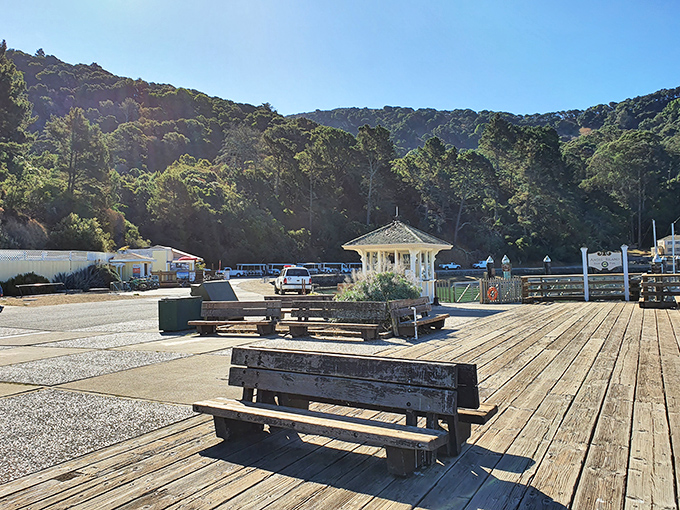 Rustic picnic tables on the dock invite you to enjoy perhaps the most scenic lunch spot in the Bay Area. Sandwich with a side of spectacular.