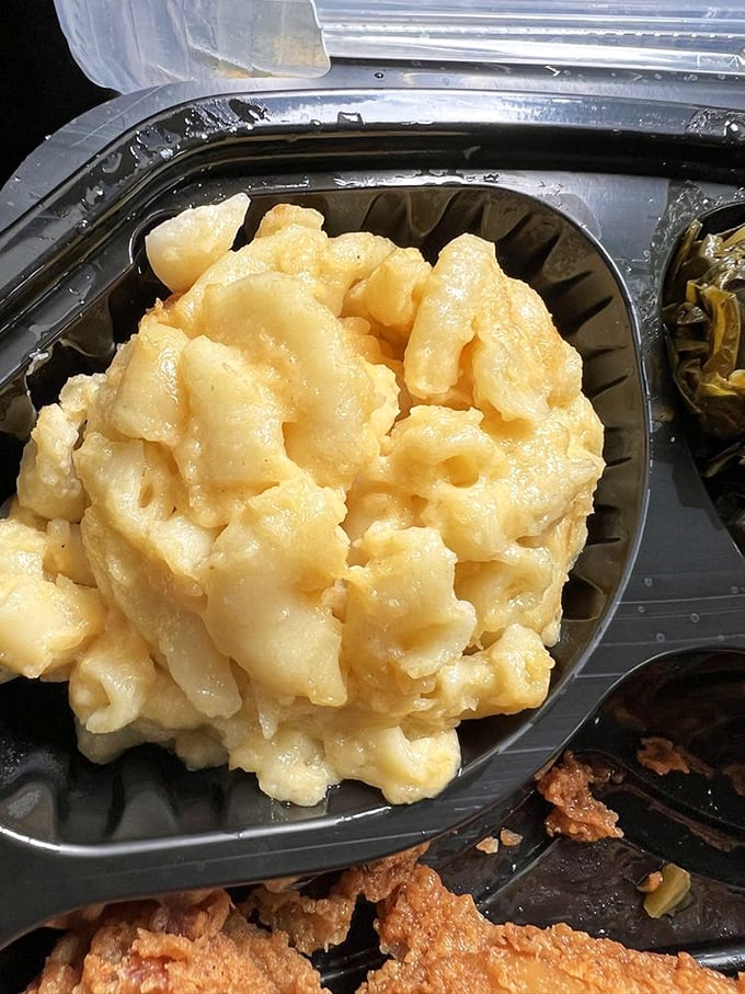 Mac and cheese that doesn't know it's a side dish. This creamy masterpiece demands center-stage attention with every gloriously cheesy forkful.