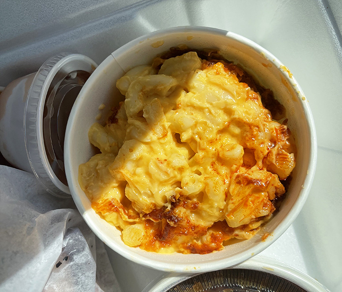 Mac and cheese that doesn't know it's a side dish. This creamy, golden comfort deserves main character energy.