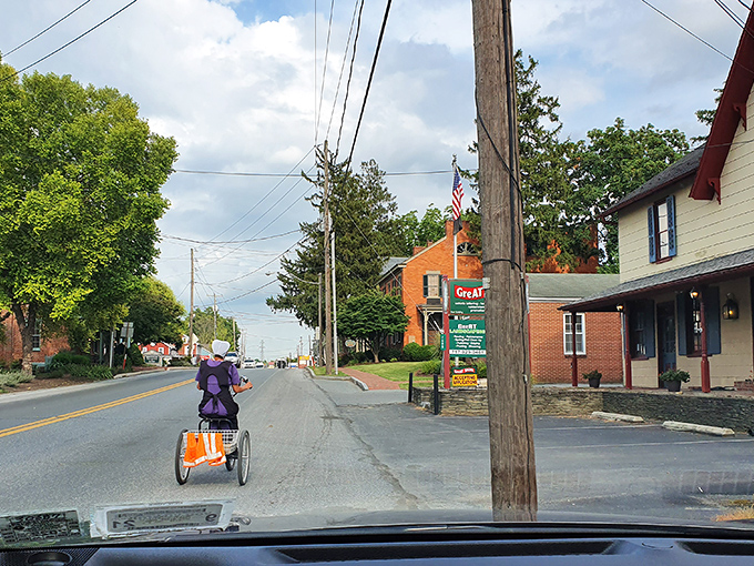 Rush hour in Bird-in-Hand means yielding to a purple-clad cyclist on a three-wheeler. No road rage here, just road sage.