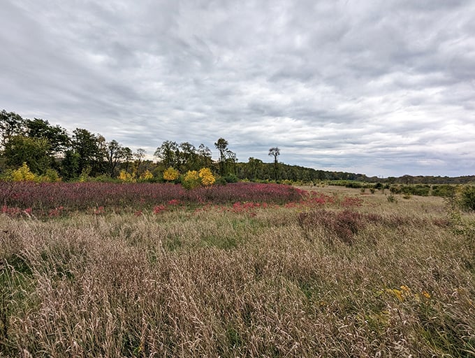Autumn paints Aztalan in russet and gold, transforming this archaeological wonder into a canvas worthy of a Midwestern Monet.