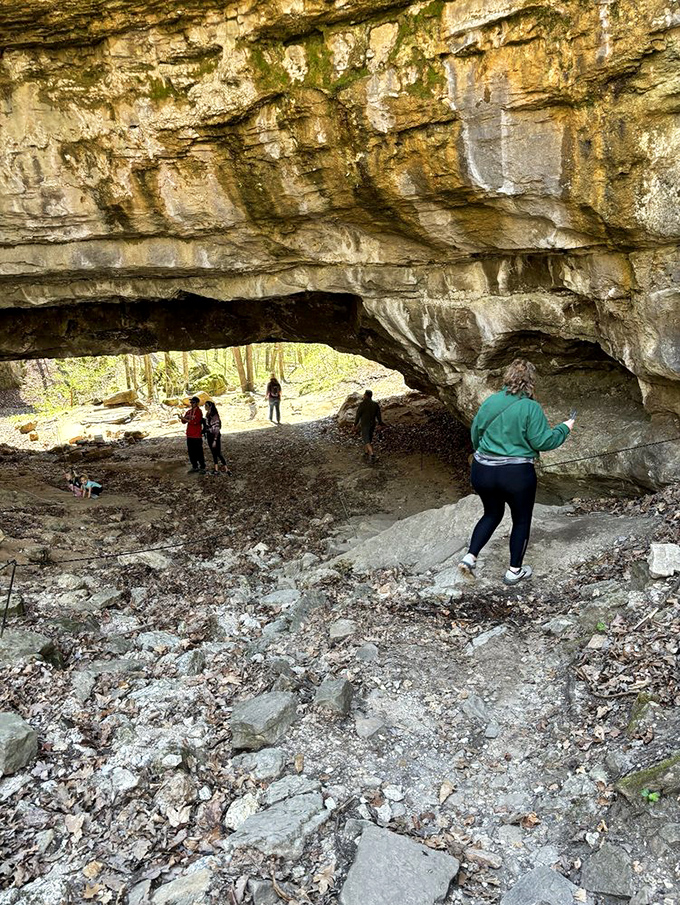 Nature's panoramic viewpoint serves up lake vistas that Instagram filters couldn't improve if they tried. Worth every step of the climb.