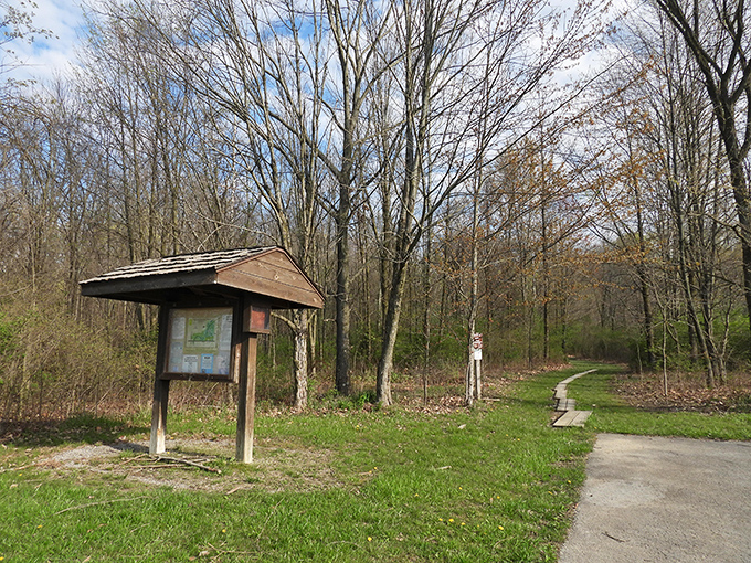 Nature trails invite exploration without requiring expensive gear or admission fees&mdash;just bring curiosity and comfortable shoes to discover Bucyrus's quieter side.