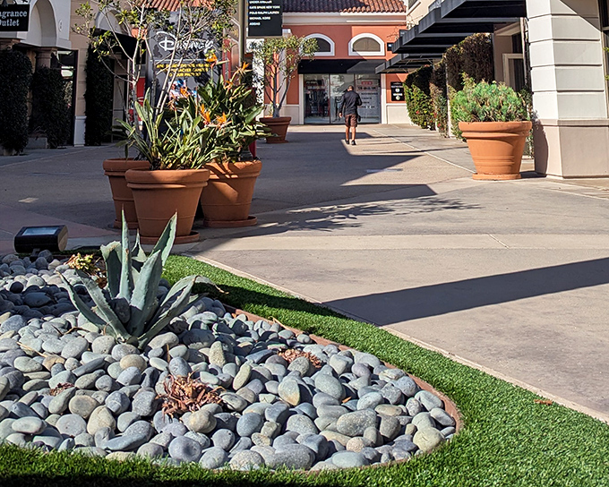 Desert landscaping meets retail therapy&mdash;these succulents require less maintenance than your new wardrobe will, but both are California essentials.