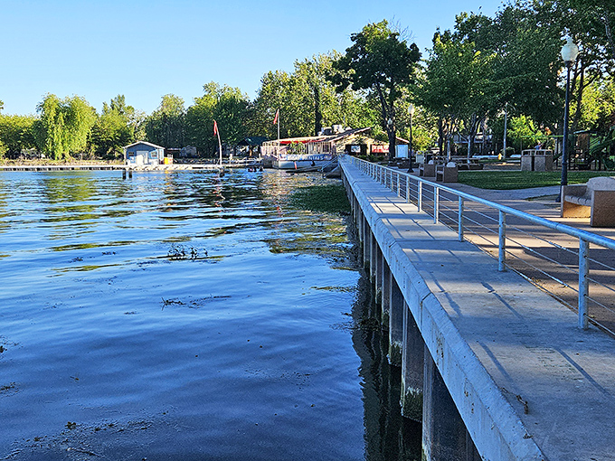 Library Park's boardwalk offers the perfect runway for morning strolls and sunset contemplations, no reservations required.