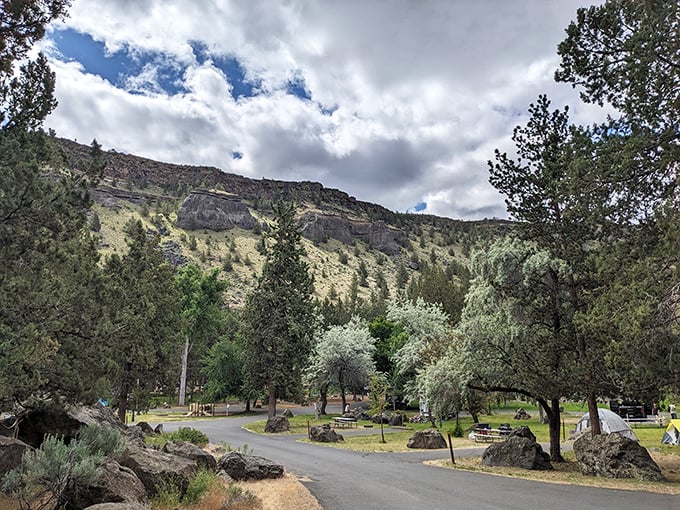 Campground roads wind through desert terrain where juniper trees provide shade and massive boulders serve as natural lawn ornaments.