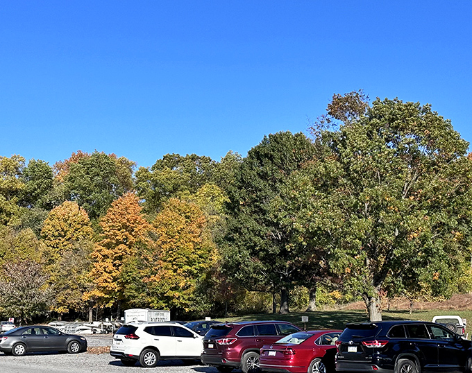 Fall's golden touch transforms the parking area into a preview of the seasonal splendor waiting just beyond your windshield.