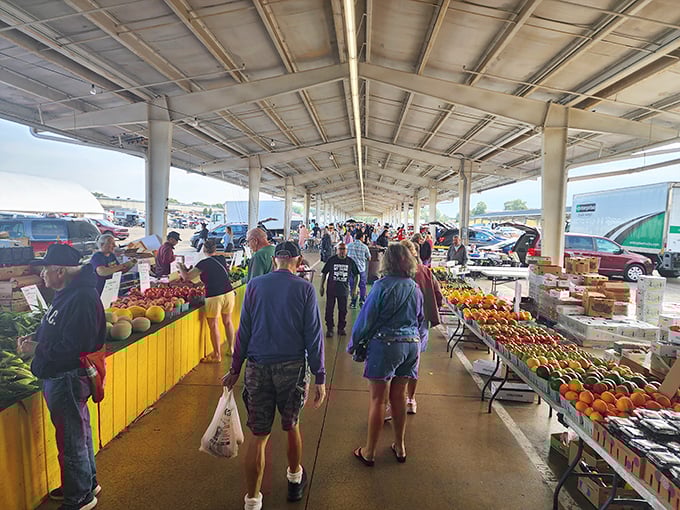 Fresh produce lines covered walkways where shoppers browse locally grown bounty. These tomatoes likely traveled fewer miles to market than you did.