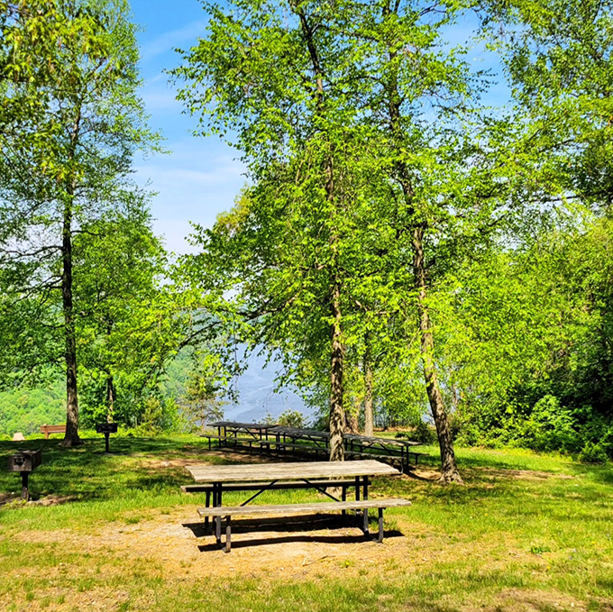Picnic tables positioned perfectly for river gazing transform ordinary lunches into dining experiences with million-dollar views.