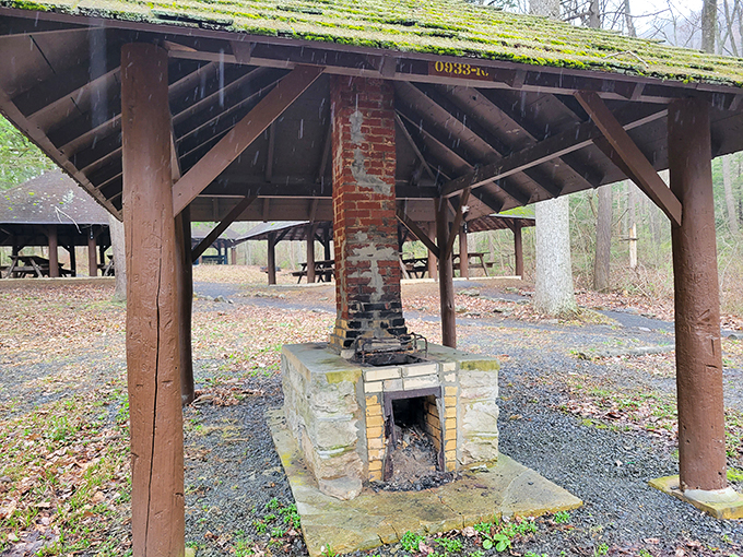 That brick fireplace has probably witnessed more family stories than a therapist's couch. Picnic pavilions with character that Instagram filters can't replicate.