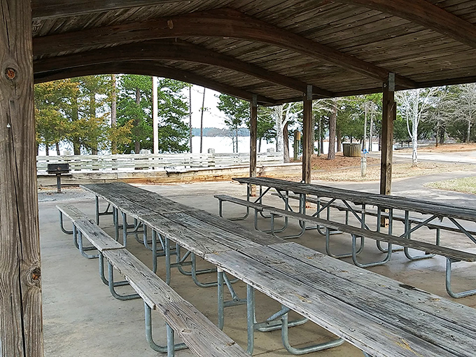 Covered dining with million-dollar views makes every packed lunch taste like a gourmet feast experience.