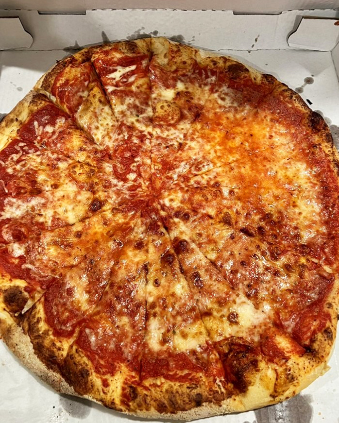 The plain pizza proves the old wisdom: when your fundamentals are this good, you don't need to dress things up with fancy toppings.