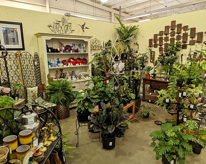 A jungle of vintage planters and greenery that would make any 1970s sunroom jealous. Macramé plant hangers, we've missed you!