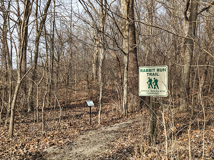 The Rabbit Run Trail beckons with promises of woodland wonders and absolutely zero actual rabbits required.
