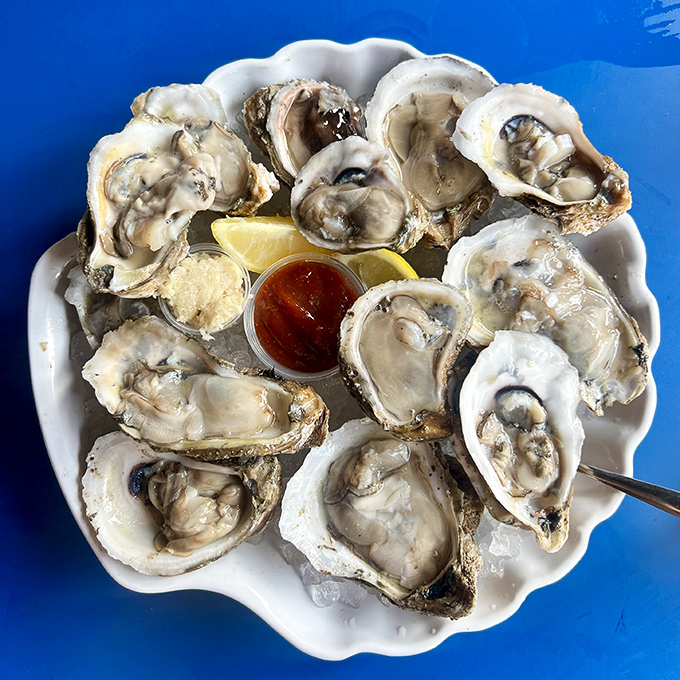 Oysters so fresh they're practically still gossiping about ocean drama. Served simply with lemon and cocktail sauce&mdash;nature's perfect appetizer.