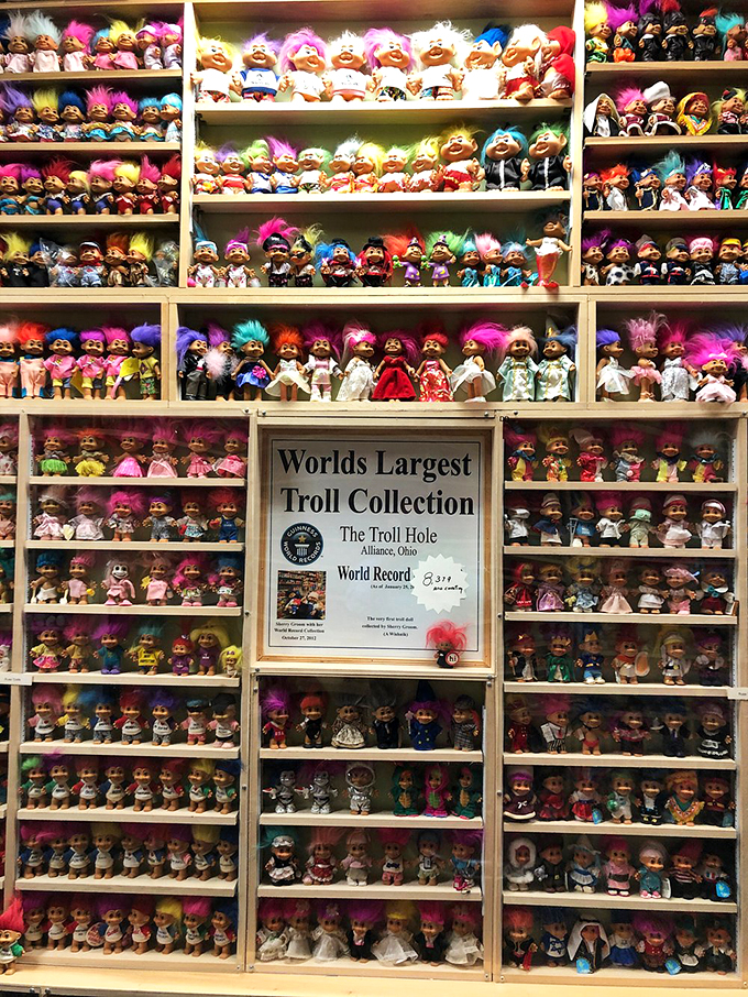 The official Guinness World Record certificate proves this collection is legitimately, impressively, wonderfully over-the-top.