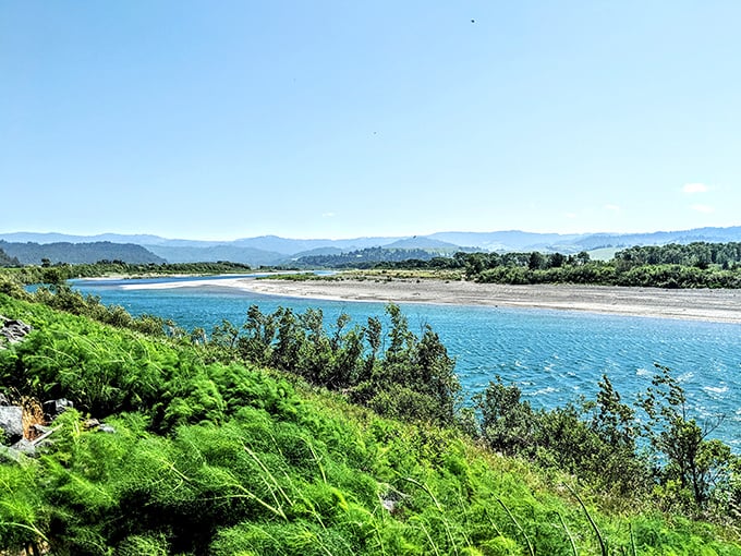The mighty Eel River carves its path through Humboldt County, offering Fortuna residents a blue oasis amid rolling green hills.