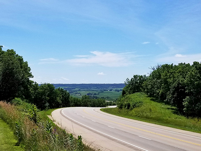 The road less traveled curves through the driftless area like nature's roller coaster, promising views that make the journey as rewarding as the destination.