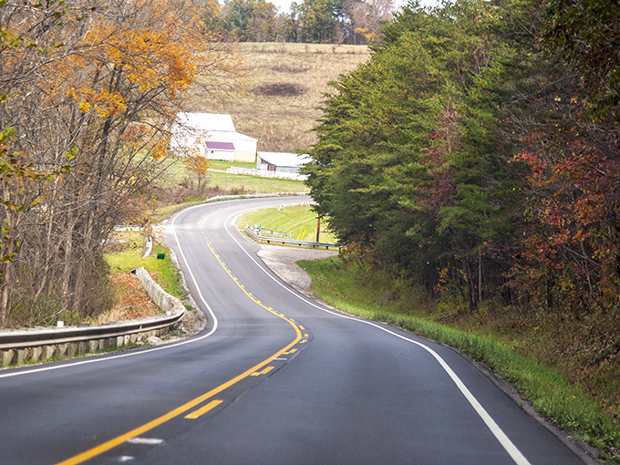 The road dips and rises through farmland vistas, connecting forest to field. Here, rural Ohio reveals its quiet, unassuming beauty.