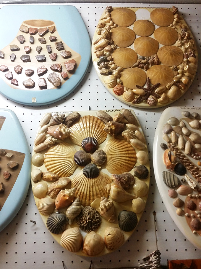 Seashell mosaics transform ordinary seats into coastal treasures, proving art can flourish in the most unexpected places.