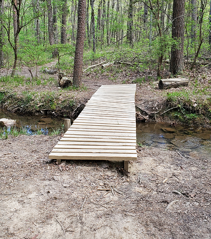 This charming bridge connects more than paths&mdash;it links you to Georgia's most spectacular hidden treasure.