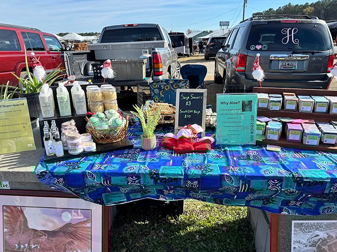 Nature's pharmacy meets Southern entrepreneurship. Handcrafted soaps, lotions, and remedies offer a fragrant alternative to drugstore standards.