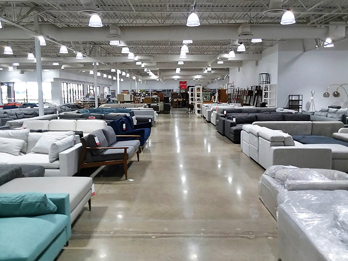 Furniture shopping becomes an expedition through comfort island. That teal sofa is practically begging for a Netflix marathon.