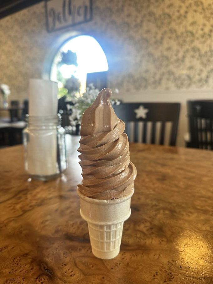 Chocolate soft serve that swirls with such perfect precision, it's practically performing ballet on that cone. Edible architecture at its finest.
