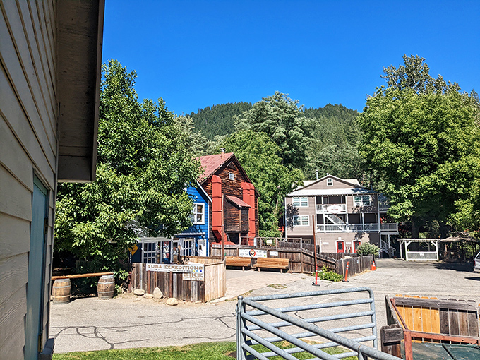 Colorful buildings nestled against emerald mountains &ndash; Downieville's version of urban planning is better than any architect could design.