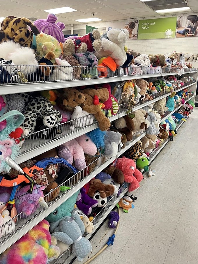 The stuffed animal adoption center. These cuddly refugees are just waiting for their forever homes and a child's unconditional love.