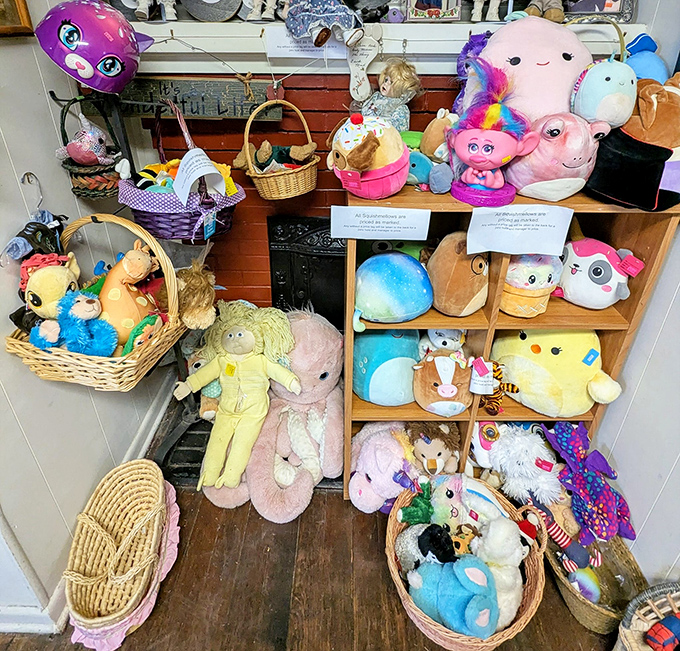 A plush menagerie awaits new homes and hugs. These stuffed animals have stories to tell and comfort to give&mdash;all at bargain prices.