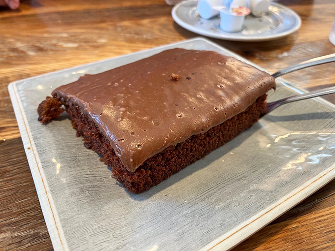 Texas sheet cake so rich it probably files separate tax returns. That glossy chocolate frosting is making promises it absolutely intends to keep.