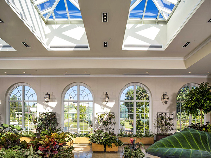 Sunlight streams through the conservatory's skylights like nature's spotlight. Even plants deserve their moment of architectural glamour.