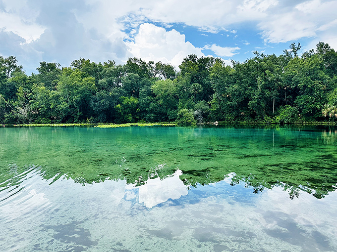 Nature's infinity pool! The crystal-clear springs maintain a perfect 72 degrees year-round, no chlorine or screaming children required.