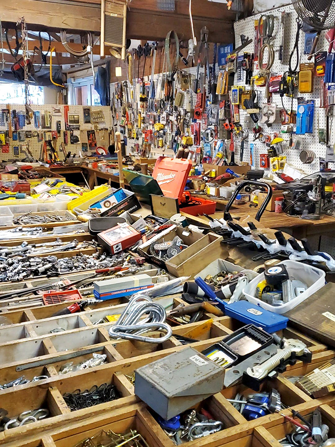 A handyman's dream or a collector's paradise? This organized chaos of tools tells stories of craftsmanship across generations. One person's retired wrench is another's vintage find.
