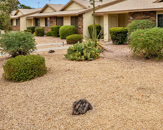 Desert-chic homes that would make Frank Lloyd Wright nod in approval. Low-maintenance yards mean more time for living, less time for weeding.