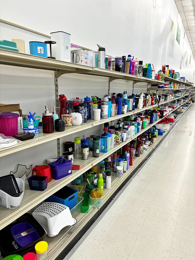 A hydration station of epic proportions&mdash;where your water bottle collection can expand faster than your thirst ever could. 