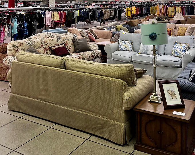 The living room lineup&mdash;where mid-century meets country cottage, and every sofa has a story waiting for your own plot twist.