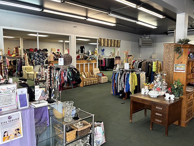 A showroom that feels like you're shopping in your stylish friend's living room—if your friend had impeccable vintage taste.