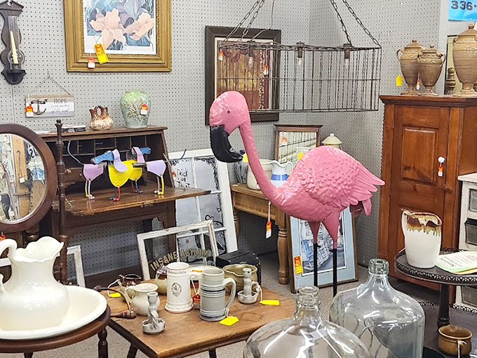 The pink flamingo commands attention amid vintage treasures. Like finding a tropical bird in your grandmother's attic, some discoveries are delightfully unexpected.
